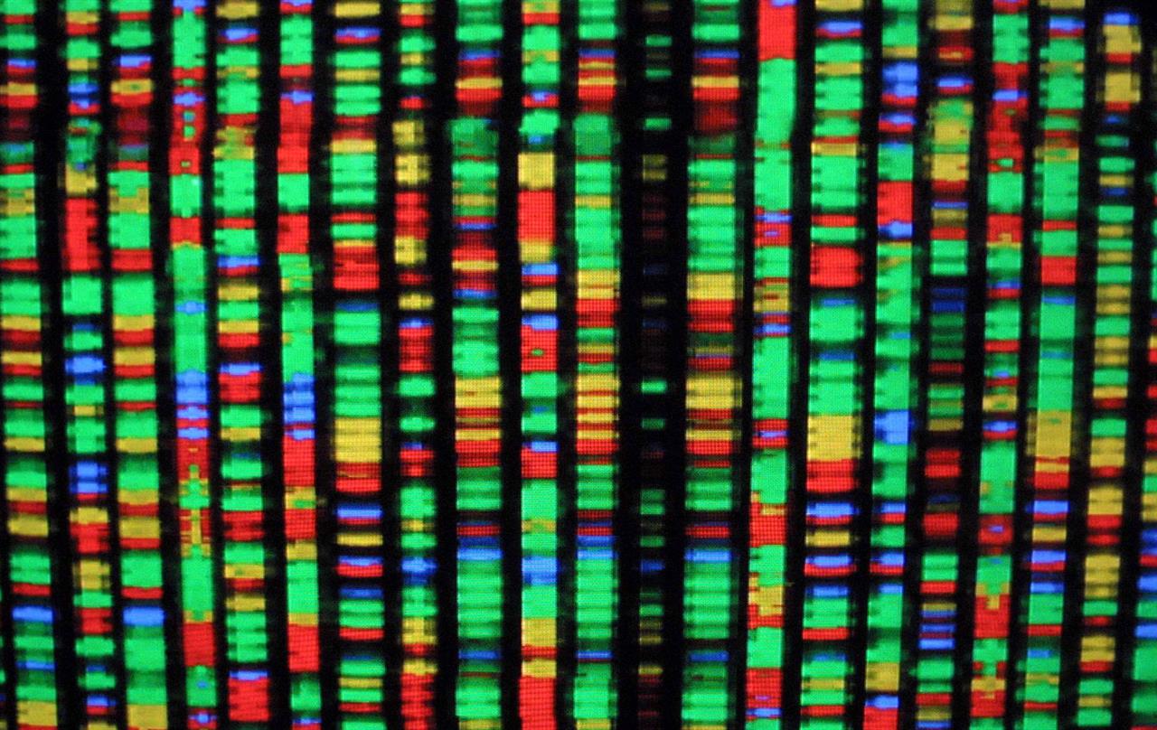 Basta il Dna per incastrare l’assassino di Yara? - Linkiesta.it