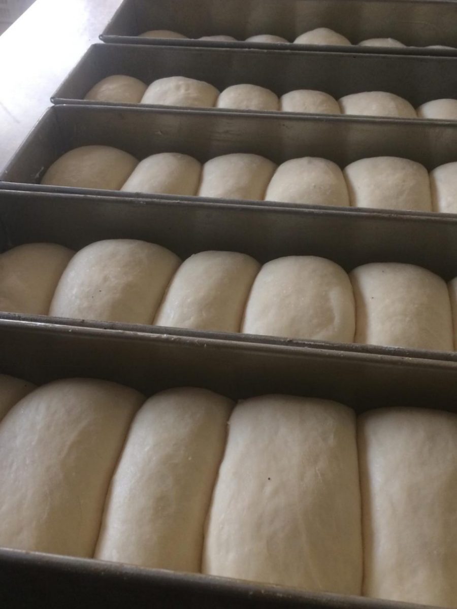 Shoku Pan: il pane in cassetta del paese del Sol Levante - Linkiesta.it