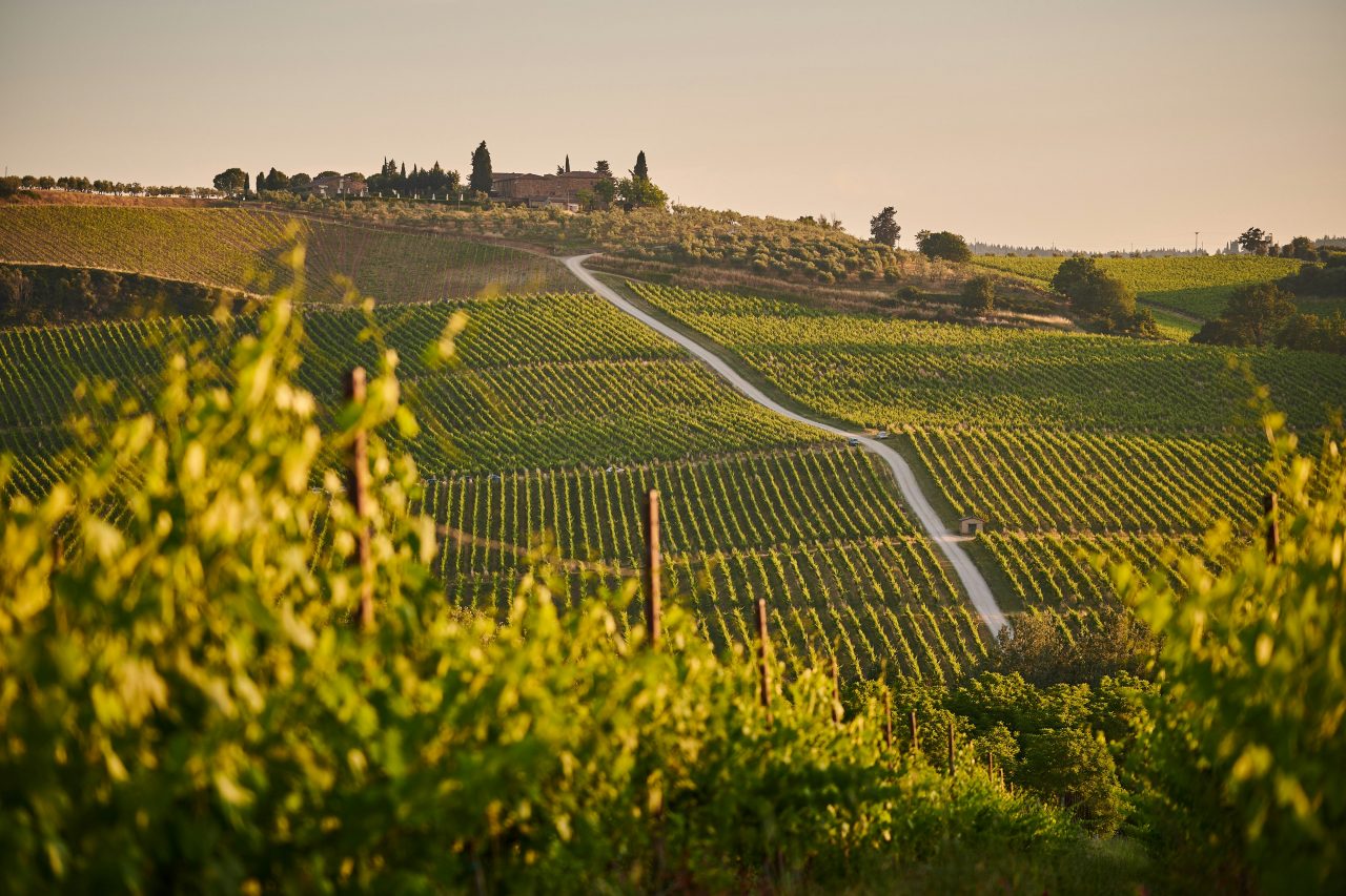 Franciacorta presenta la sua prima Carta dei Vigneti e delle Zone ...