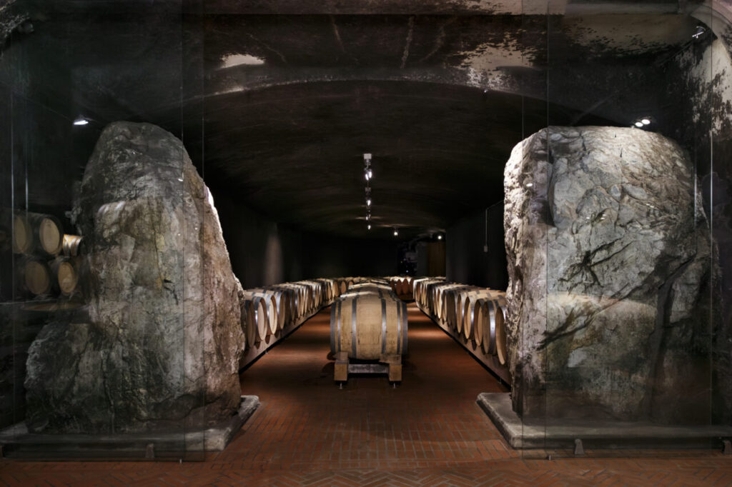 La misura del Sangiovese e la scommessa dello Chardonnay - Linkiesta.it